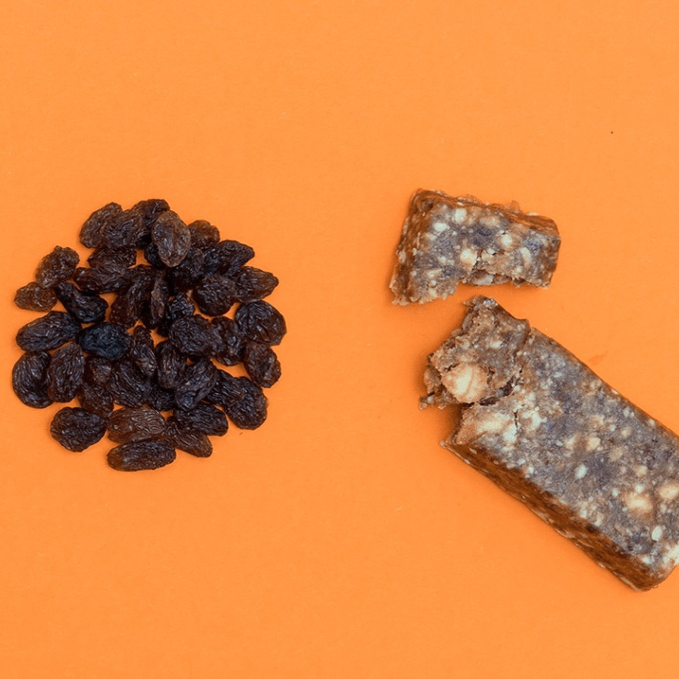 ROSINEN - EN RYNKET LÆKKERBISKEN – rawbite.dk